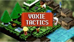 Voxies